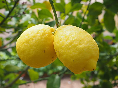 Royalty-Free photo: Lemon lot | PickPik